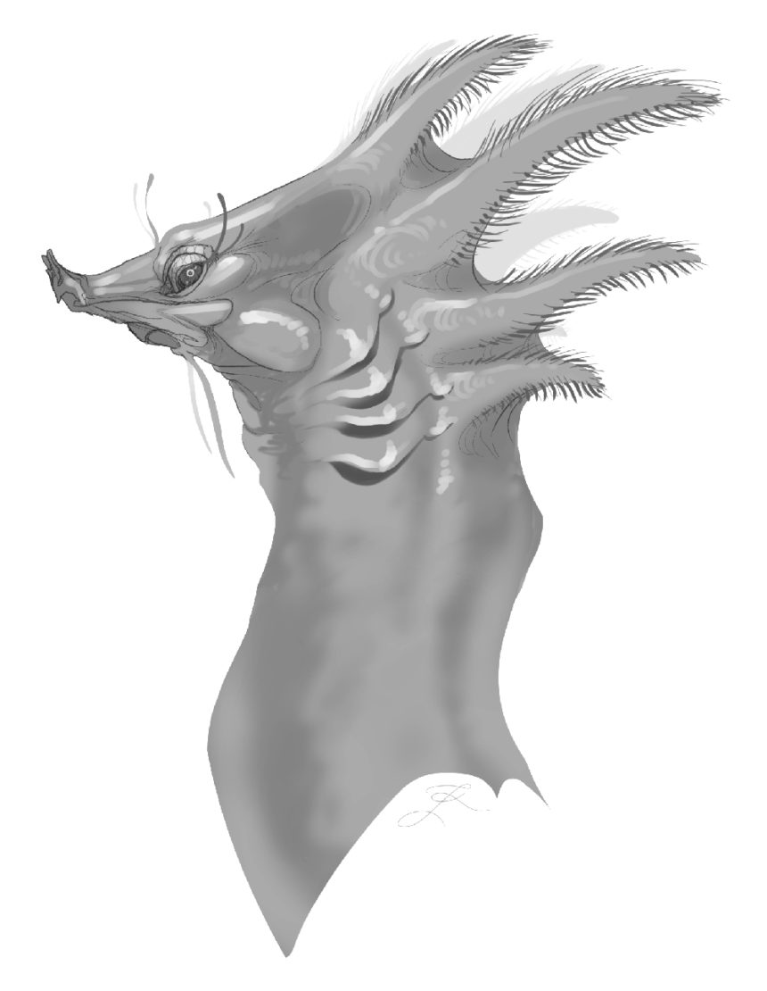 Hanunah Turtle | Caligo Mythology | H.S. Crow